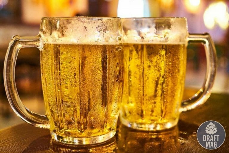 Polish Beer: A List of the Best Beers From Poland You Must Try