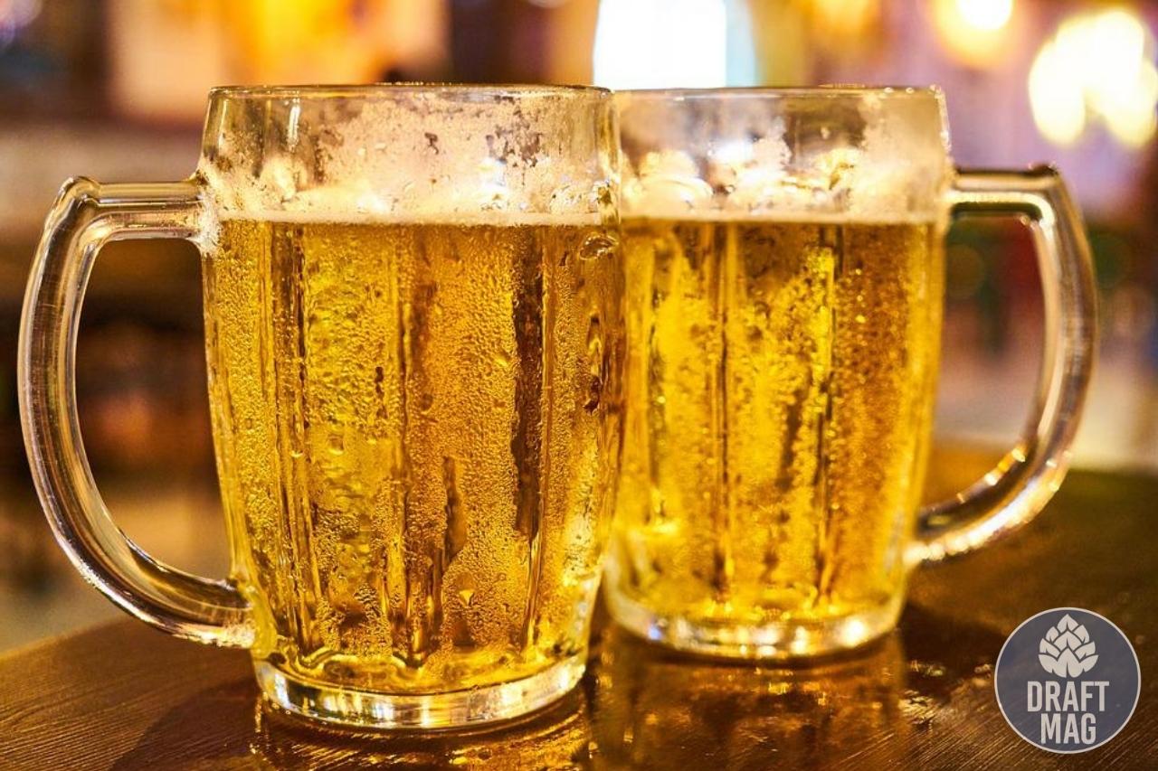 Polish Beer: A List of the Best Beers From Poland You Must Try