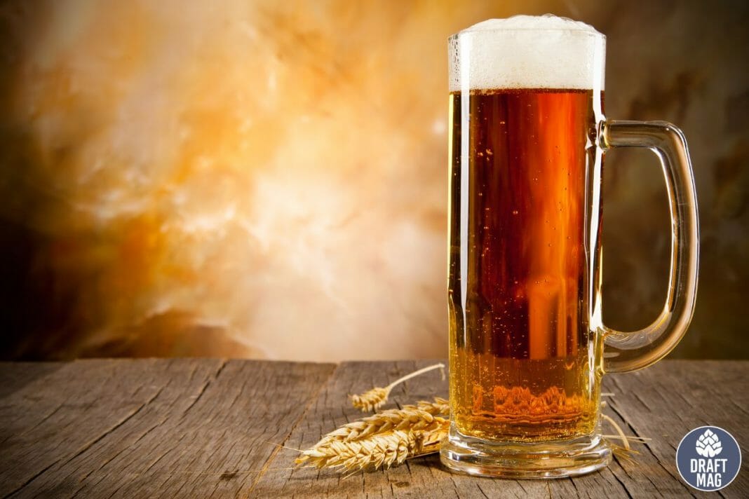 Polish Beer: A List of the Best Beers From Poland You Must Try