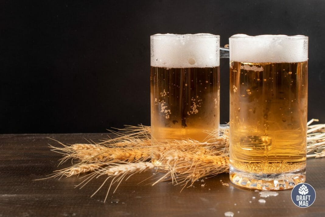 Hurricane Malt Liquor Review: What Our Top Beer Reviewers Think