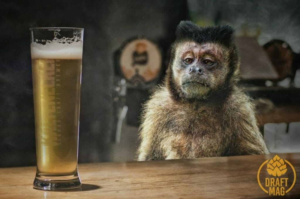 Funny Beer Names That Are Guaranteed To Give You a Big Laugh