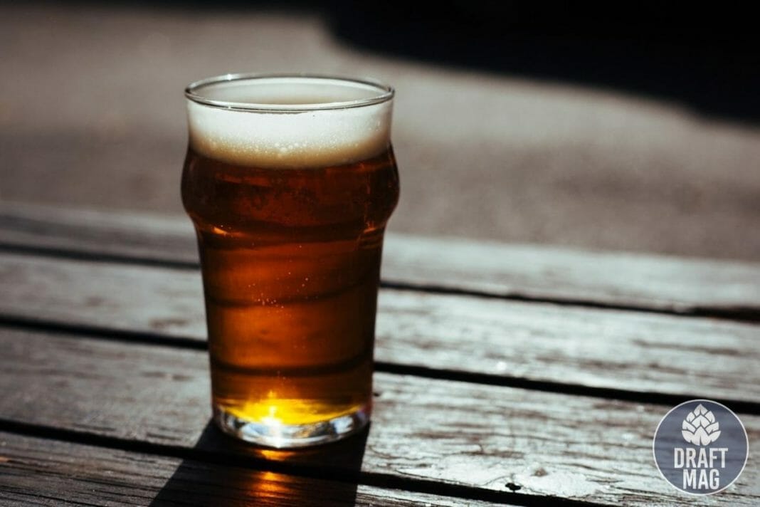 Korean Beer: Top Beers You Have To Try On Your Next Visit to Korea