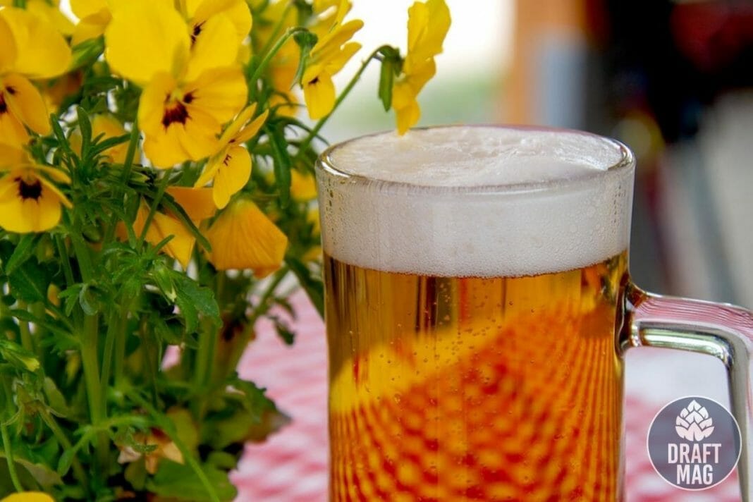 Heineken 0.0 Review: What Makes This Alcohol-Free Beer Special?