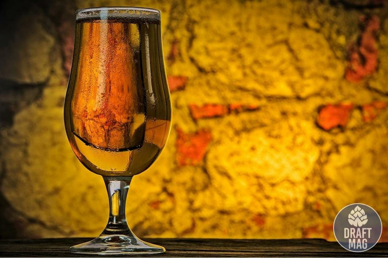 Polish Beer: A List of the Best Beers From Poland You Must Try
