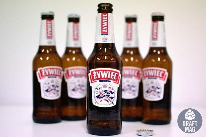 Polish Beer: A List of the Best Beers From Poland You Must Try
