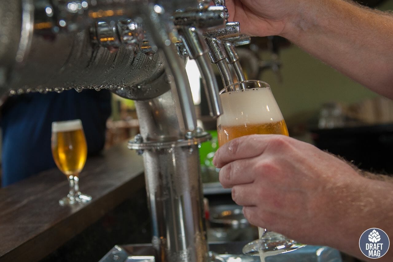 Spindletap Brewery Review: What Makes This Brewery So Popular?