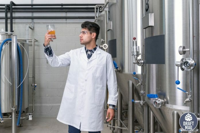 Blichmann Fermenator: Blichmann Engineering G4 Conical Review