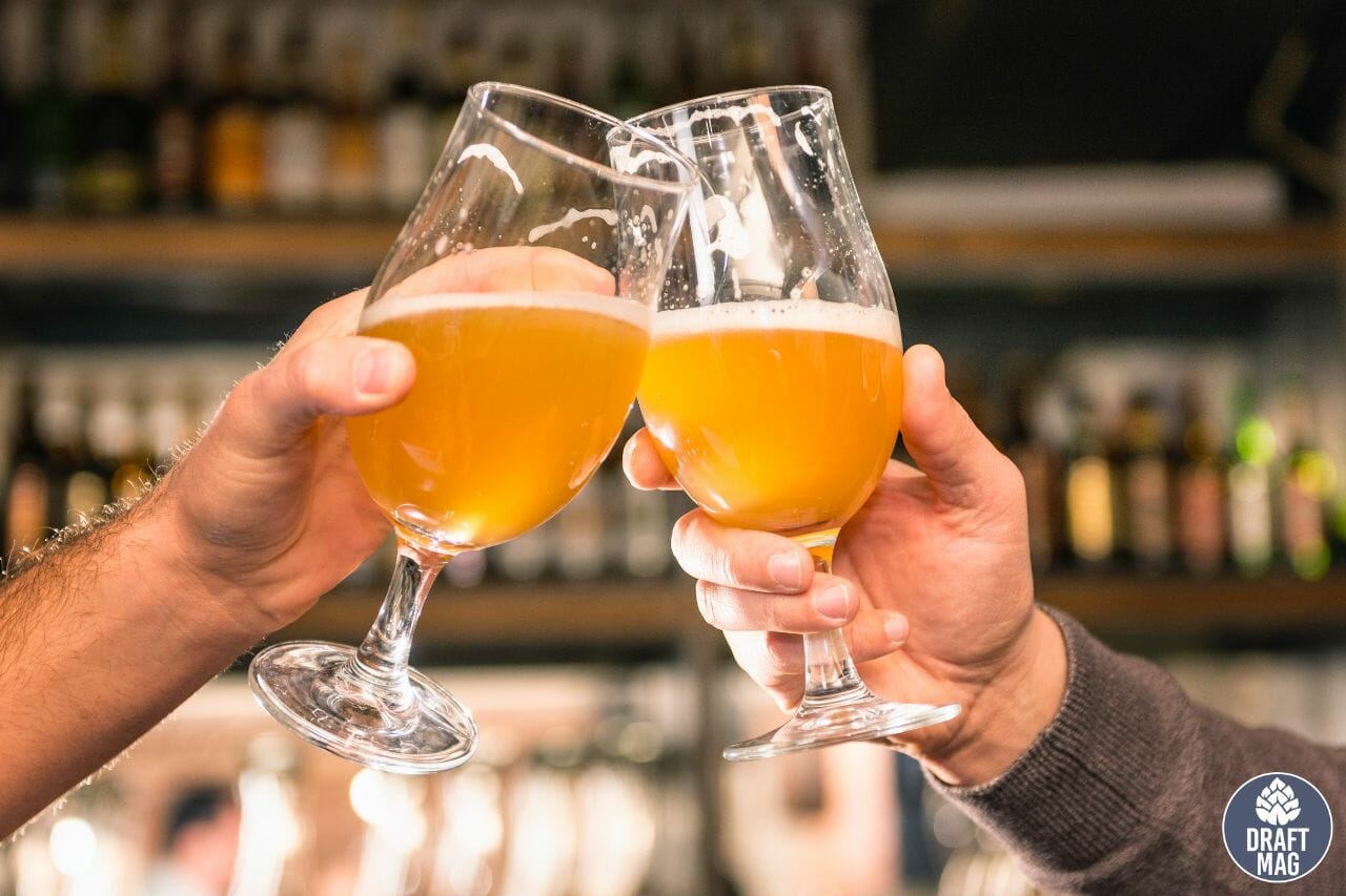 Best Pilsner Glass: A Detailed Review of the Best Options To Try