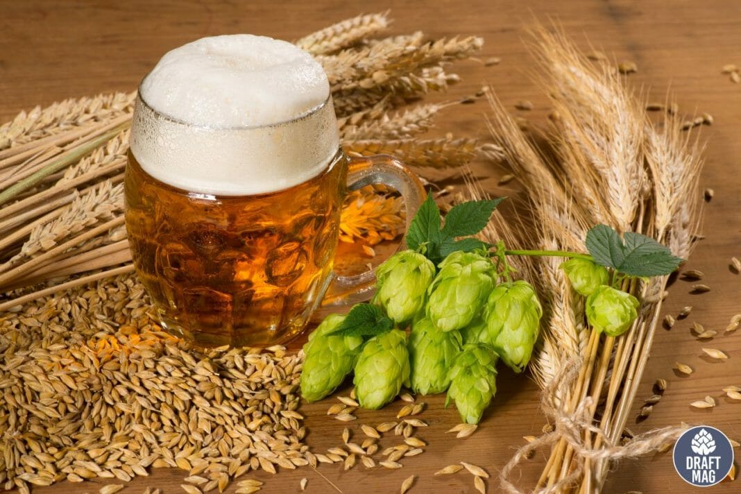 Best Beer for Acid Reflux: Top Low-acidity Beers for Your Health