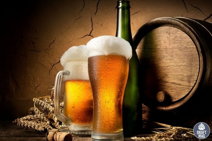 Best Breweries in Tucson: Top 12 Breweries You Should Visit