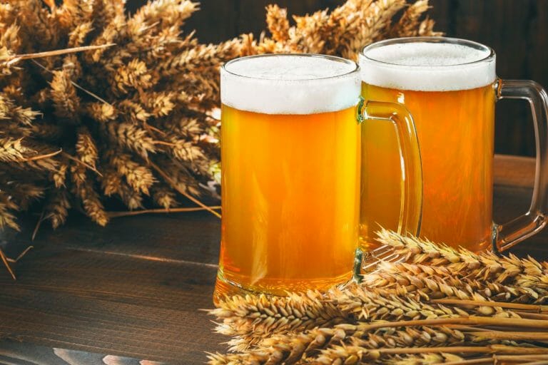 Best Breweries in Tucson: Top 12 Breweries You Should Visit