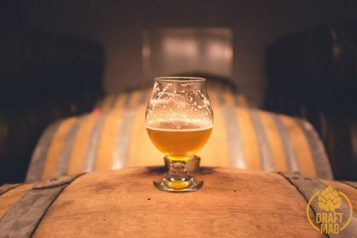 Electric Jellyfish IPA: A Review of the Top Beer for All Hop Heads