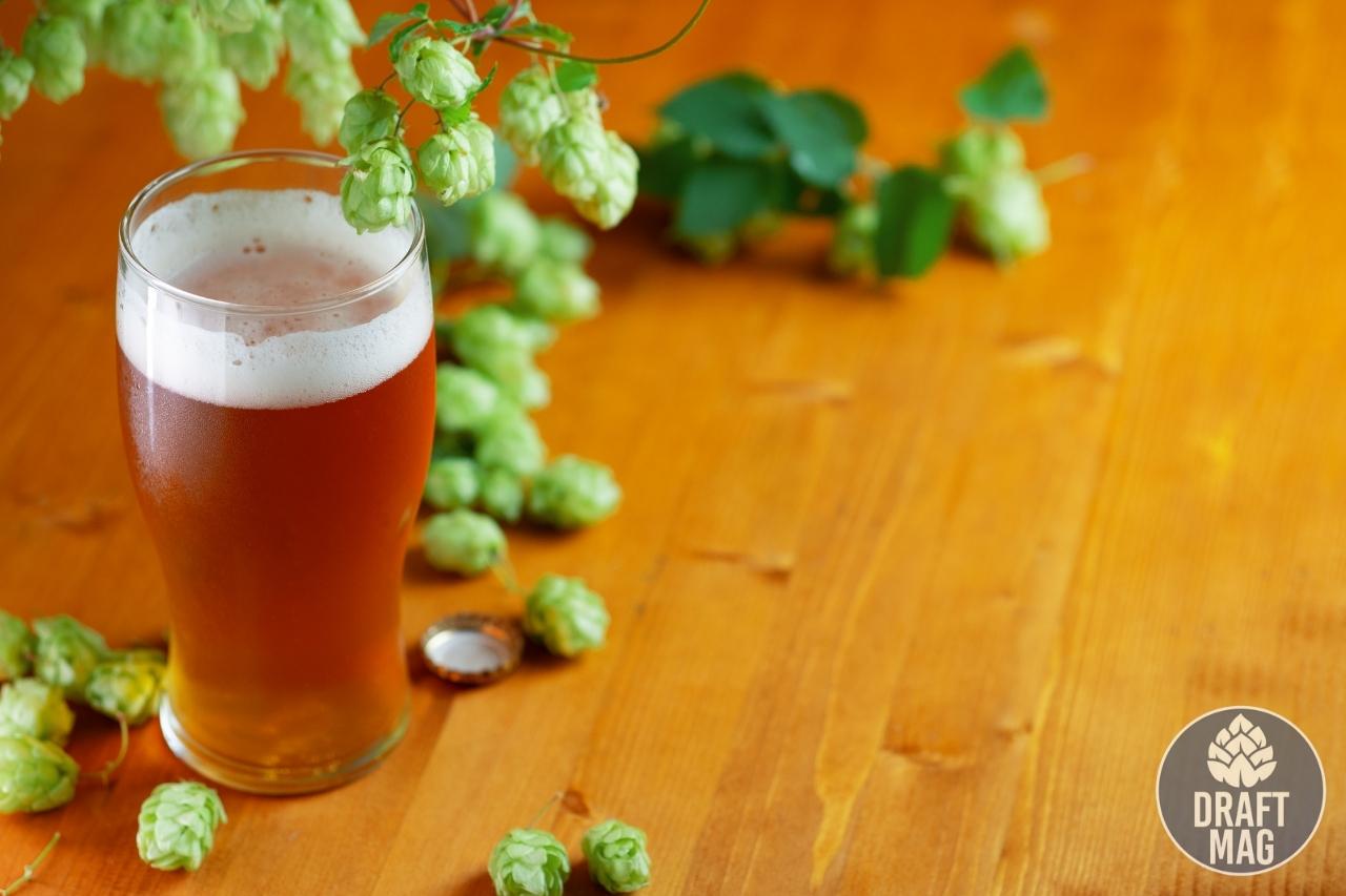 Goose Island Next Coast Ipa: A Detailed Review of This Hoppy IPA