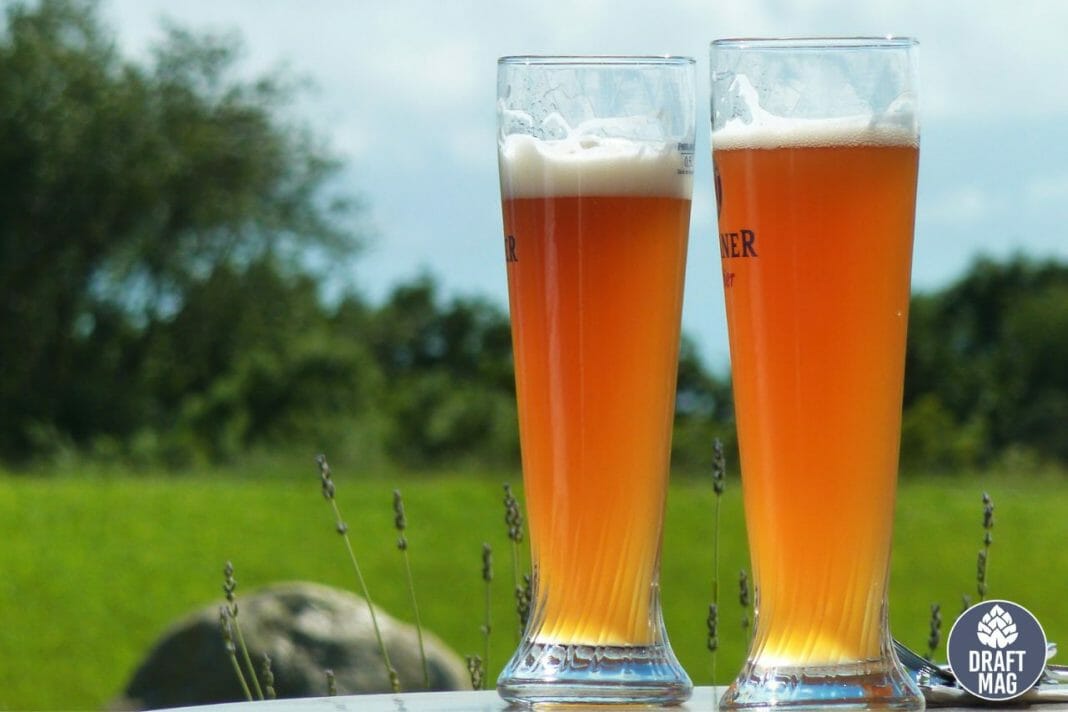 What Is an Imperial IPA? Everything You Need To Know About This Beer