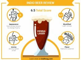 Indio Beer Review: A Close Look at This Mexican Vienna Lager