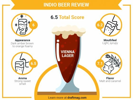 Indio Beer Review: A Close Look at This Mexican Vienna Lager