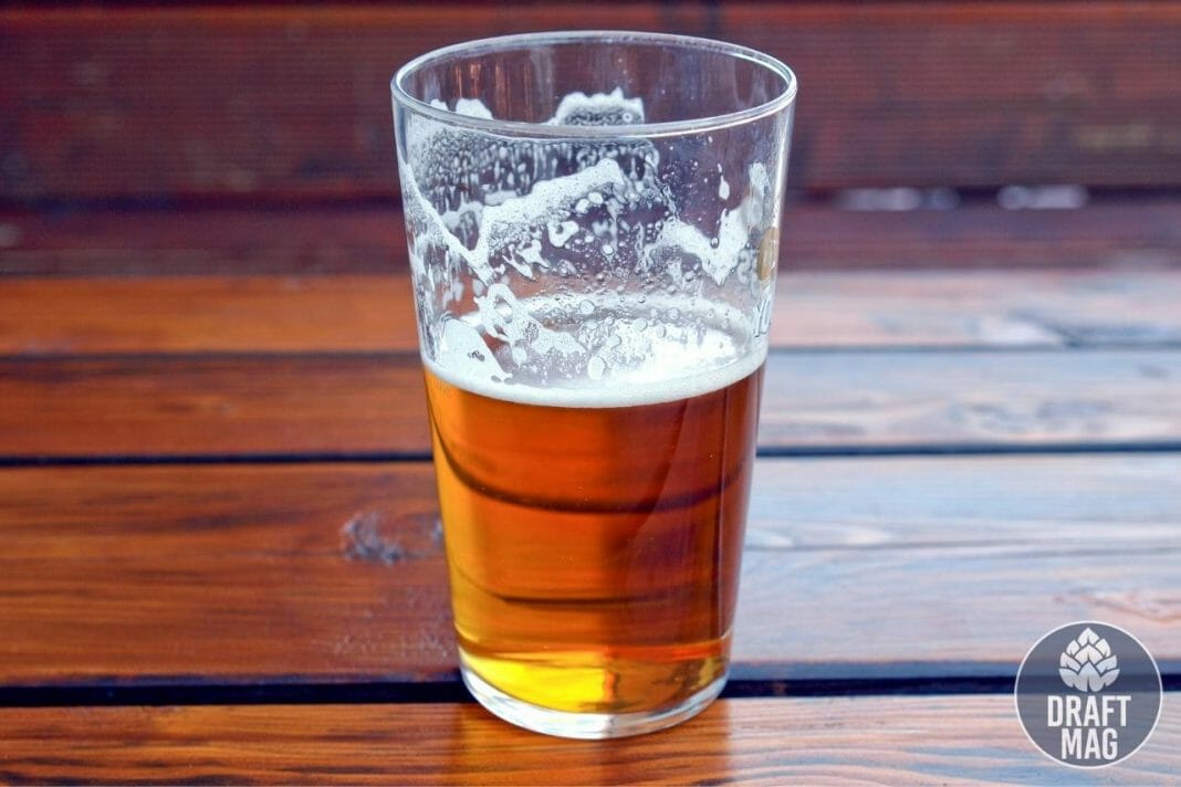 Indio Beer Review: A Close Look at This Mexican Vienna Lager