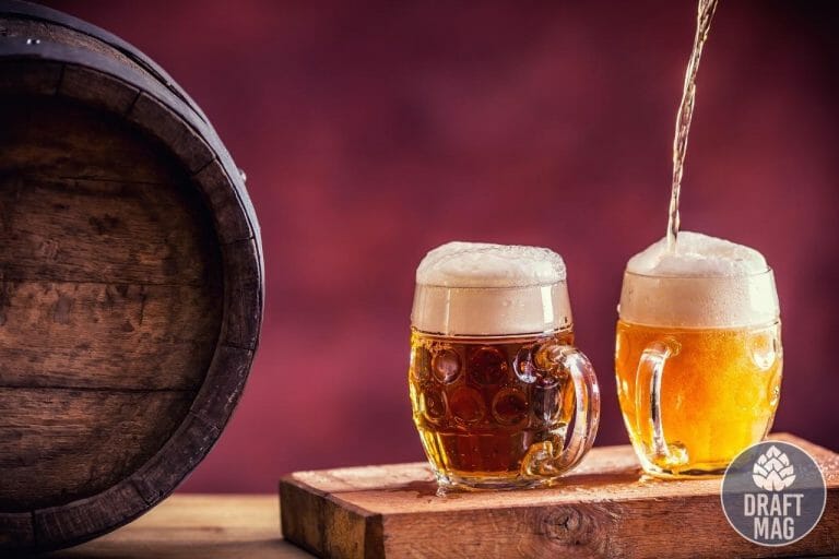 Electric Jellyfish IPA: A Review of the Top Beer for All Hop Heads