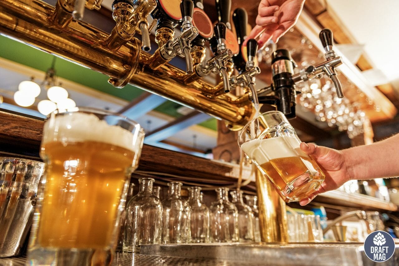 Miller 64 Review: A Detailed Look At This Popular Light Lager