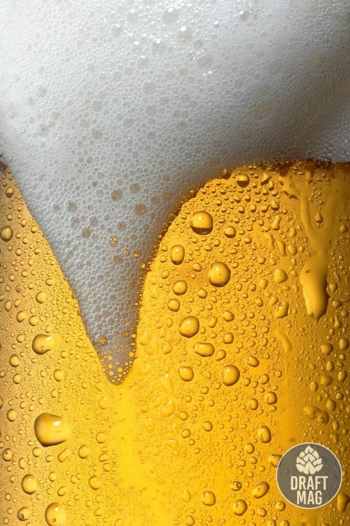 Modelo Mango Chelada: A Review of This Unique Mexican Fruit Beer