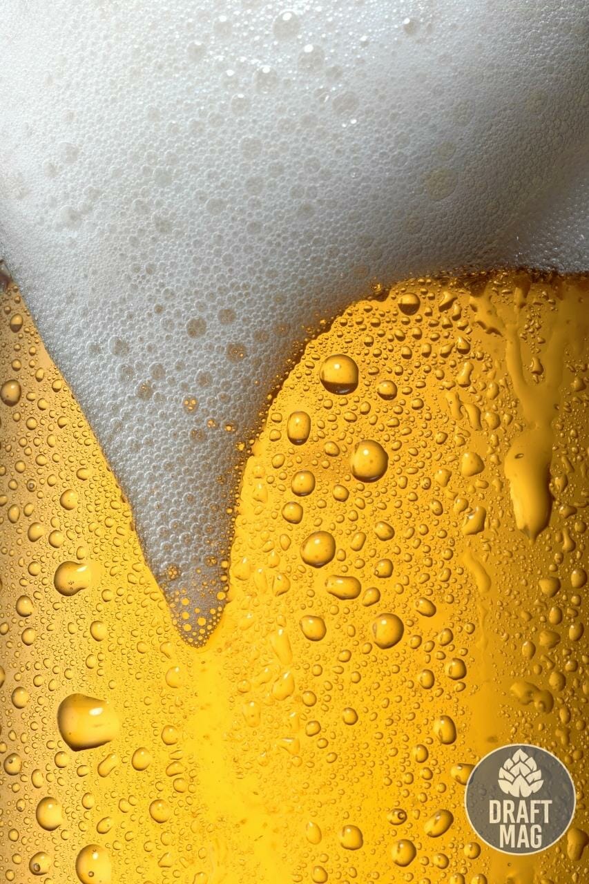 Modelo Mango Chelada: A Review of This Unique Mexican Fruit Beer