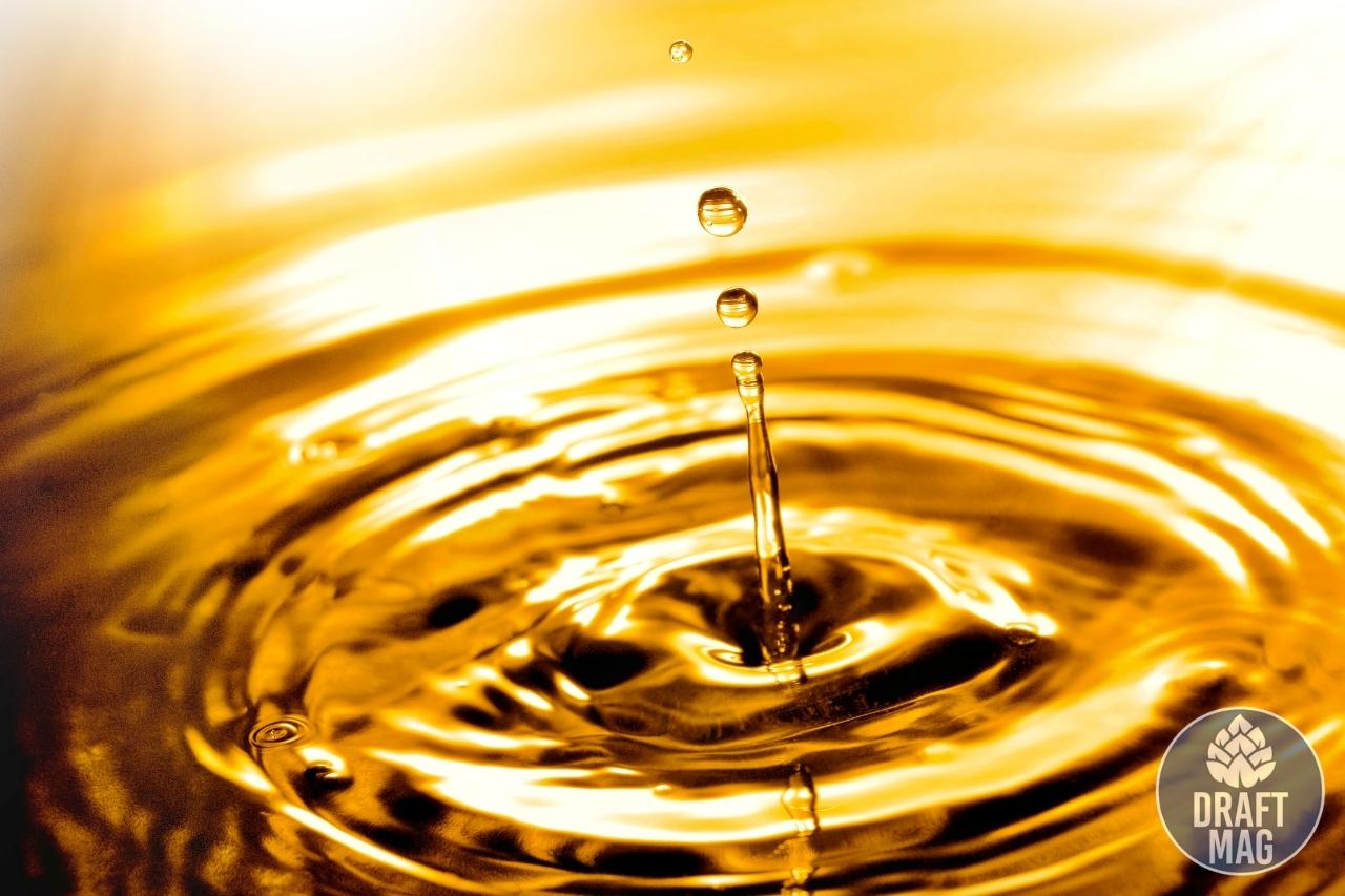 Modelo Pineapple: Review of This Pineapple-flavored Mexican Beer