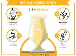 Natural Ice Beer: A Review of This Delicious, All-American Beer