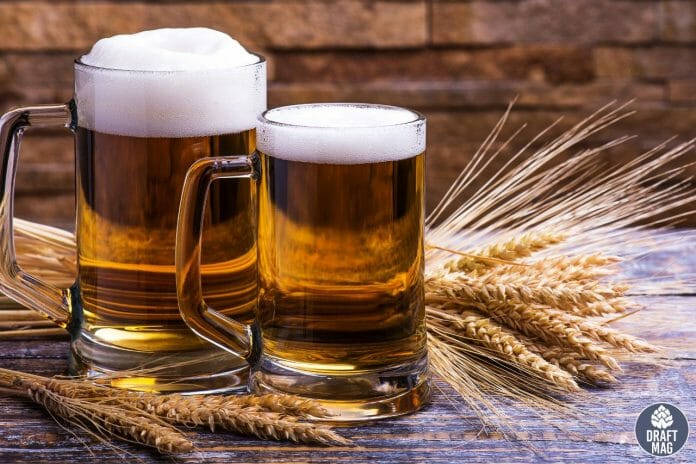 Pacifico Light Review: What Makes This Popular Brew Stand Out?