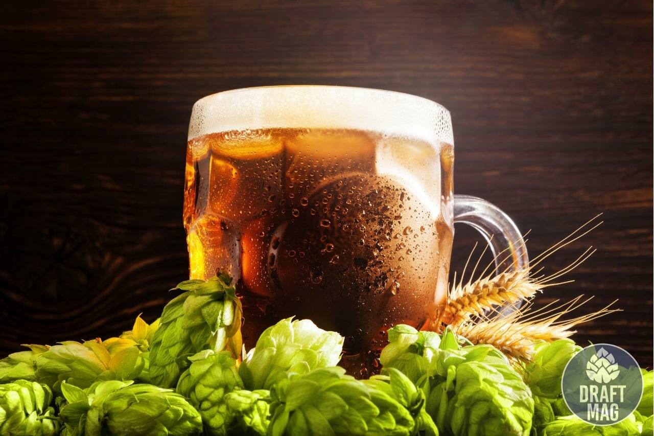 Sam Adams Jack O: A Complete Review of This Popular Pumpkin Ale