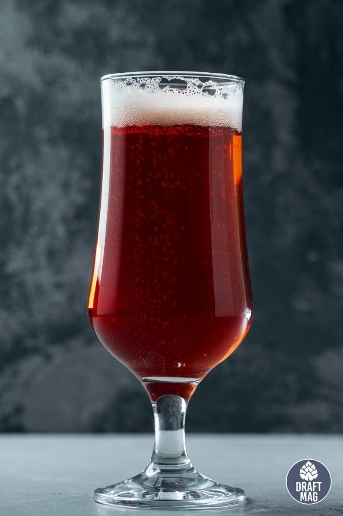 Sol Micheladas Review: A Look at Its Important Features and History