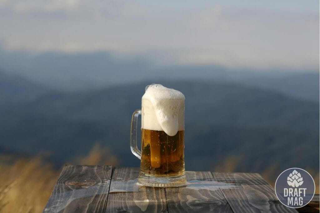 Sycamore Mountain Candy Review: Why You Should Try This Popular IPA