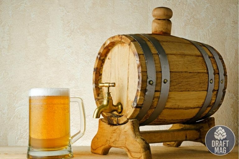 Bodhizafa IPA Review: An Award-winning Fruity and Hoppy IPA