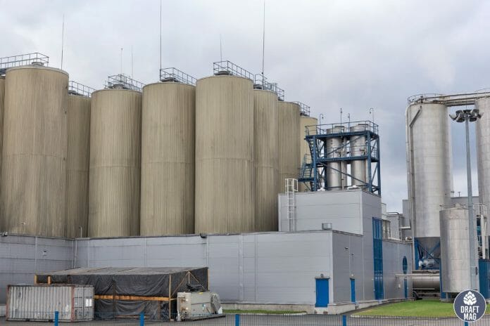 Treehouse Deerfield Brewing Company: A Complete Brewery Review