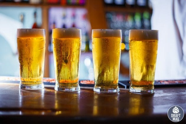 Modelo vs Corona Beer: An Overall Guide to These Two Popular Brews