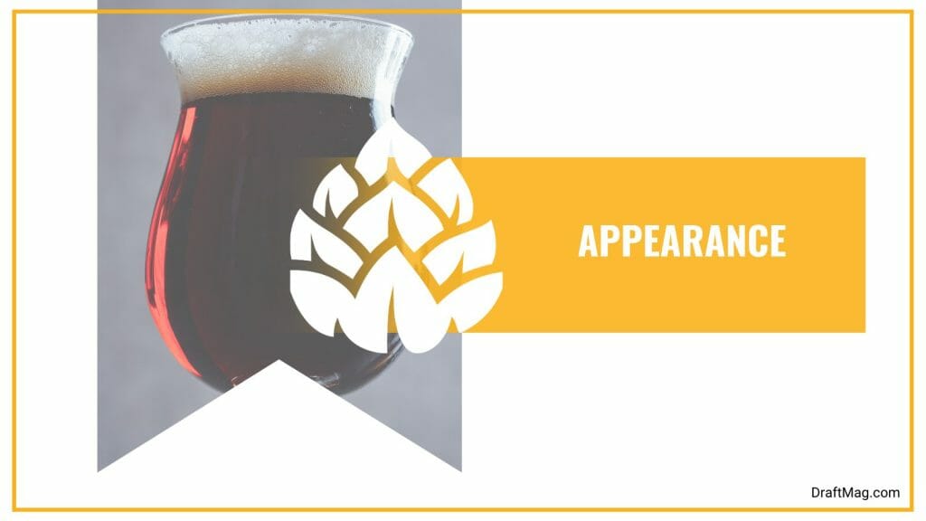 Founders Velvet Rush Review: What You Should Expect From This Beer