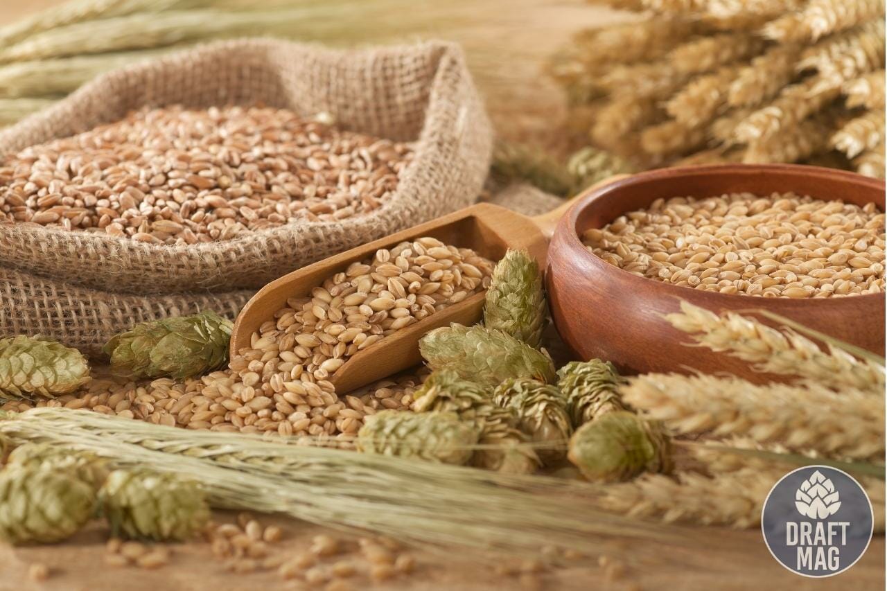 Best Breweries in Philadelphia: Recommended Beer Places in Philly