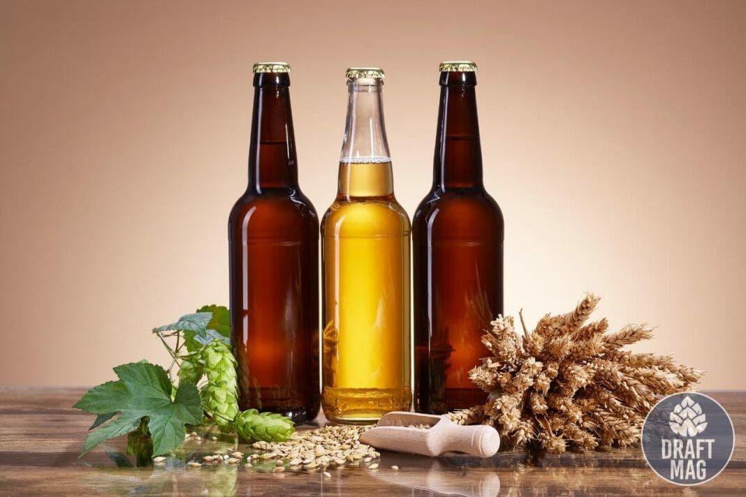 Hurricane Malt Liquor Review: What Our Top Beer Reviewers Think