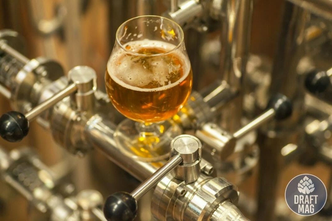 Tecate Light Review: Complete Details About This Light Mexican Beer