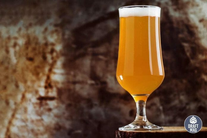 Cider vs Beer: Which Is the More Flavorful and Healthier Option?