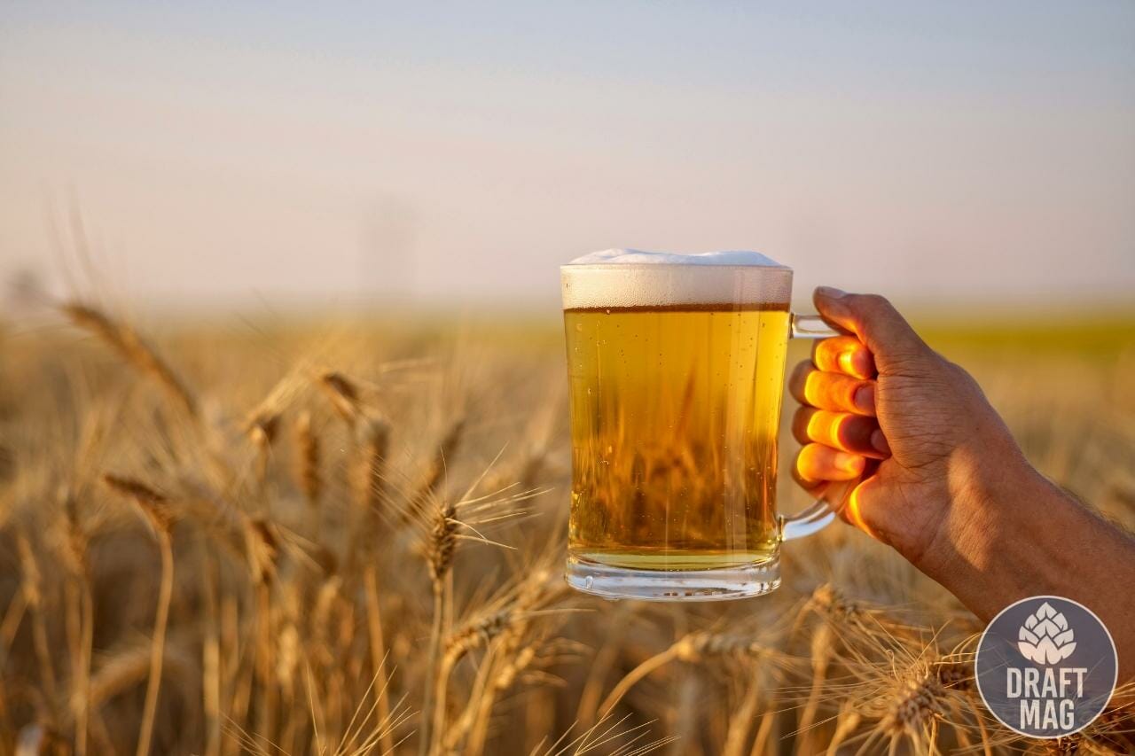Dr Dank Review: A Detailed Look at the Danky Beer for IPA Lovers