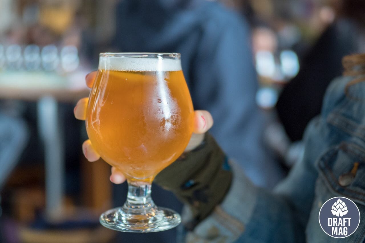 El Chingon Ipa Review: Everything You Need To Know About This Beer