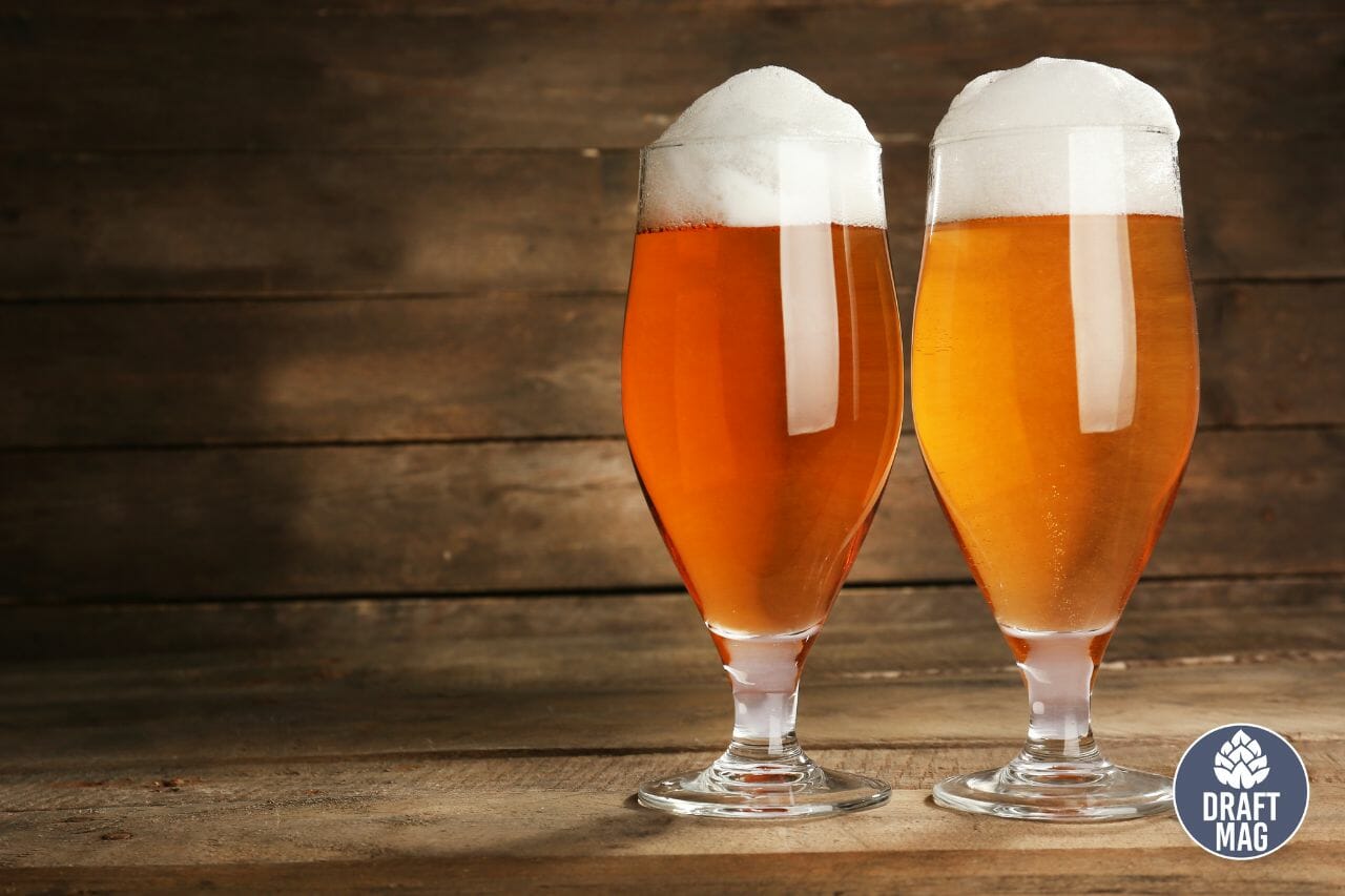 Fiddlehead IPA Review: Why You Can’t Get Enough Of This Vermont IPA