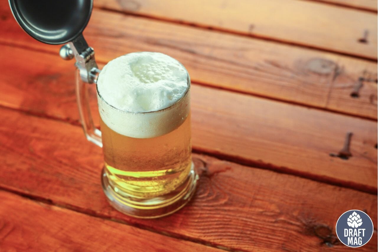 Folded Mountains Pale Ale Review: Revealing One of the Finest Pales