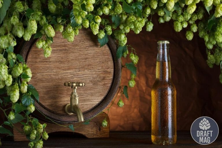 Barrilitos Beer Review: An American Adjunct Lager to Behold