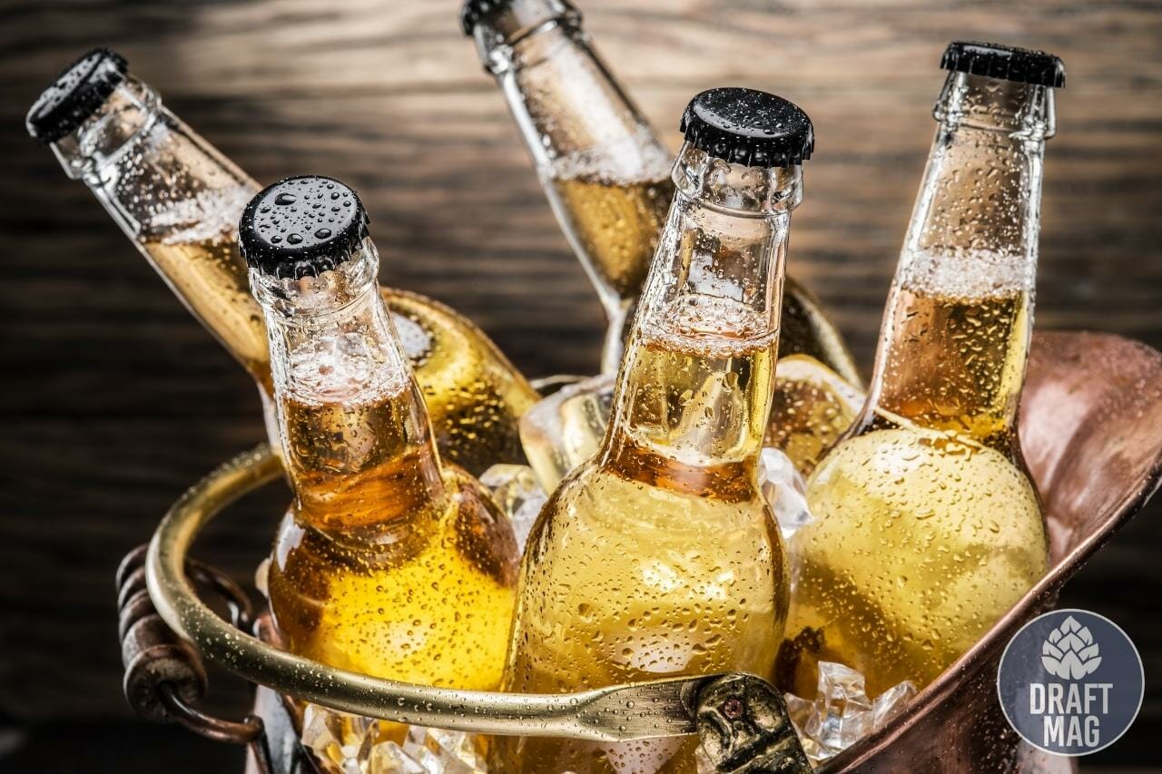 Gold Buckle Beer Review: A Guide to the Official PRCA Beer