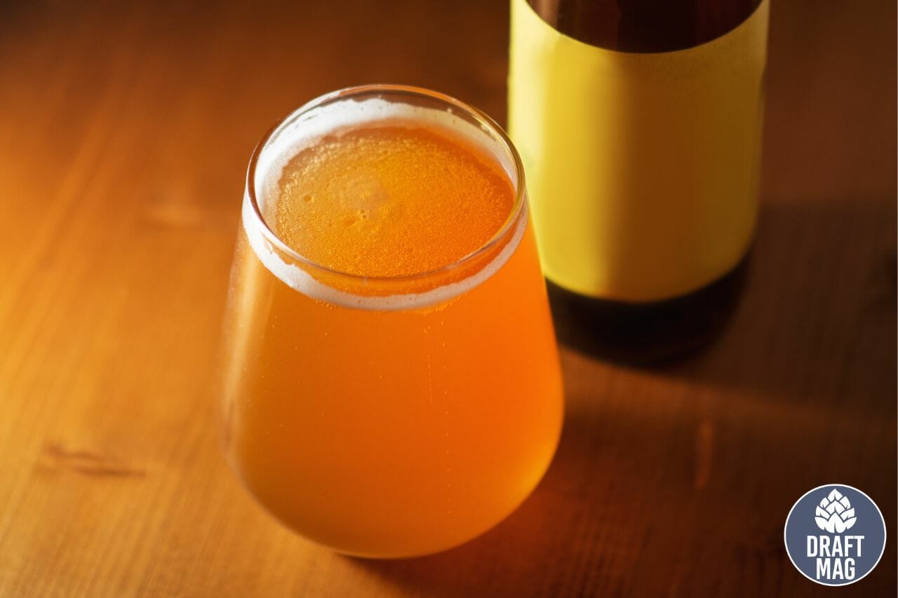 Greater Good Pulp Daddy Review: Know Everything About This Neipa