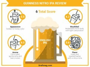 Guinness Nitro IPA Review: A Detailed Guide to This Guinness Delight