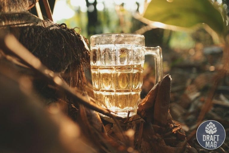 Rice Beer Brands: 13 of the Best-selling Rice Brews in the Market