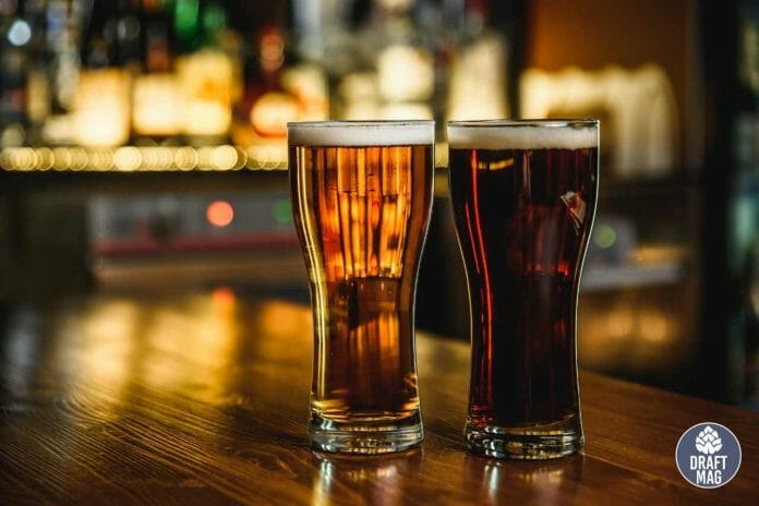 Ipa vs Beer: A Guide to the Differences of IPA From Other Beers
