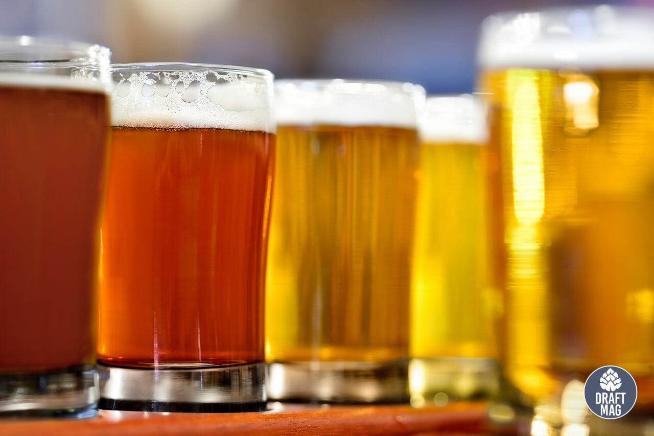 Italian Lager: A Guide To Choosing the Best Italian Drink for You